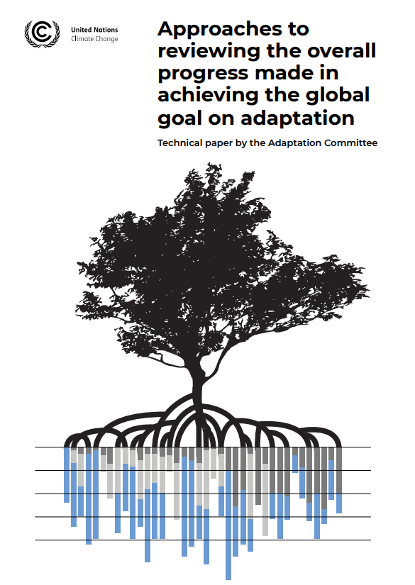 Approaches to reviewing the overall progress made in achieving the global goal on adaptation ...